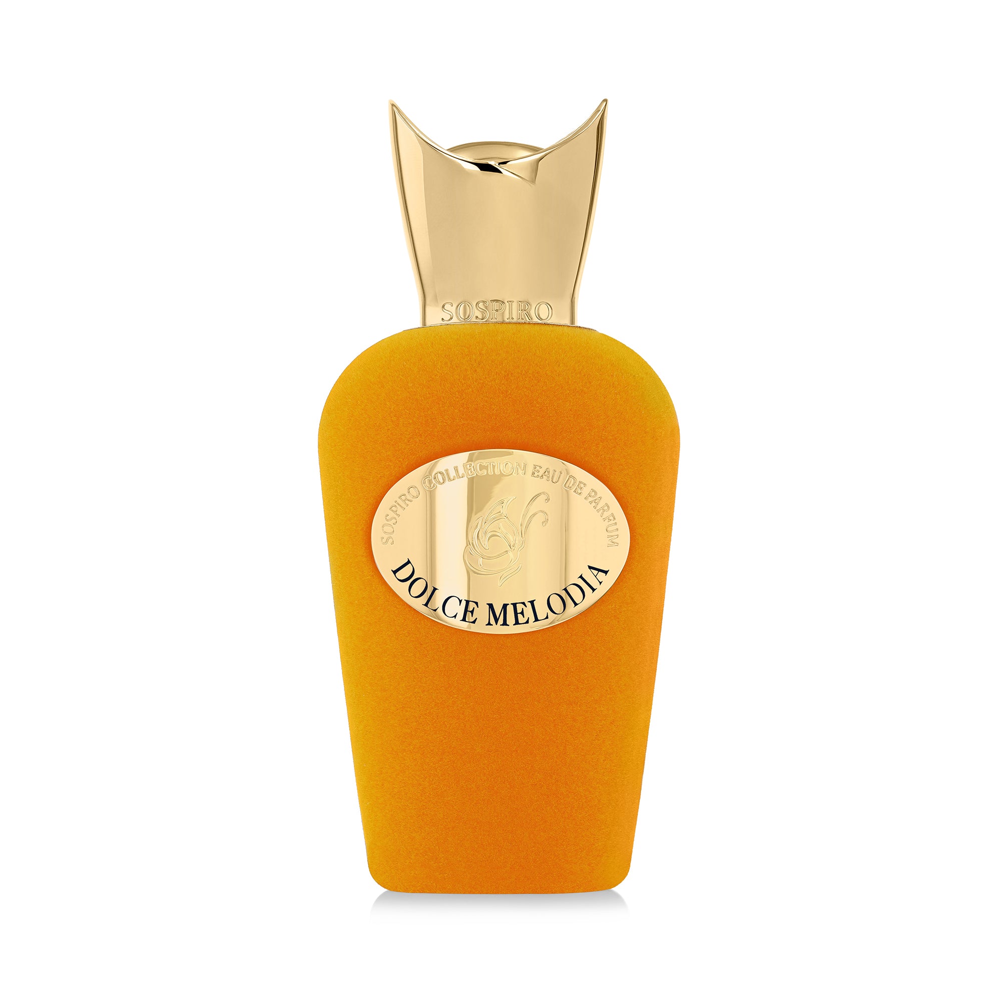 ZGO Perfumery - Discover the Finest Fragrances From Around the World